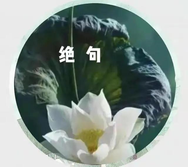 2022 Green Ting Literary Society, Tiantian Poetry Magazine, Issue 270 ...