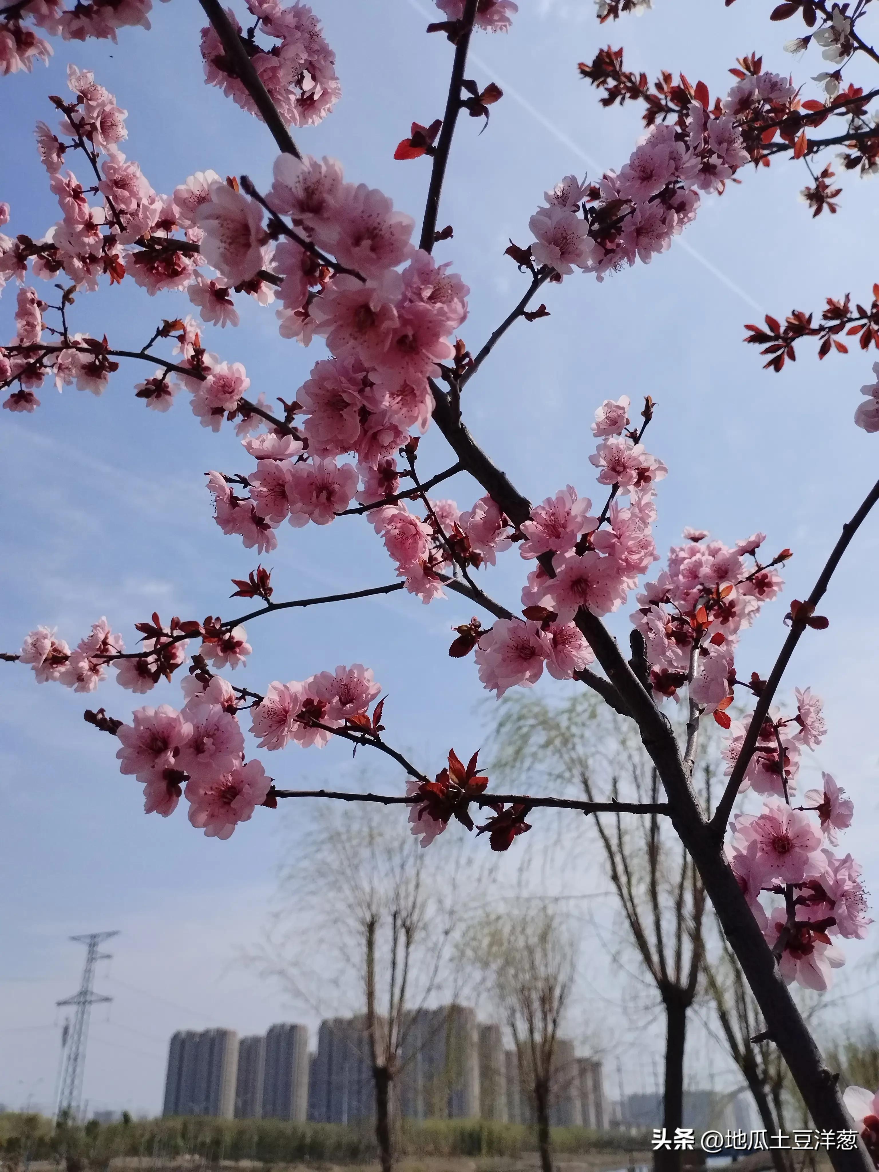 Magic Charge Contributes - iMedia