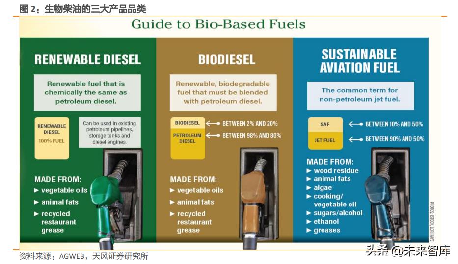 In-depth study of biodiesel industry: global carbon reduction pushes up ...