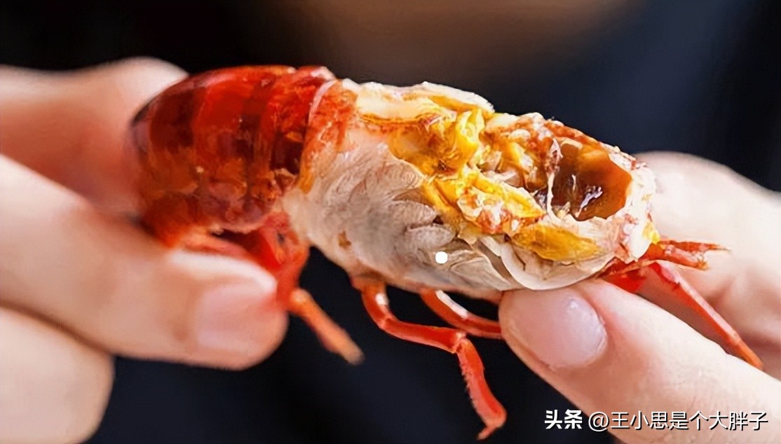 Are shrimp heads edible?Is the yellow in the crayfish yellow or shit ...