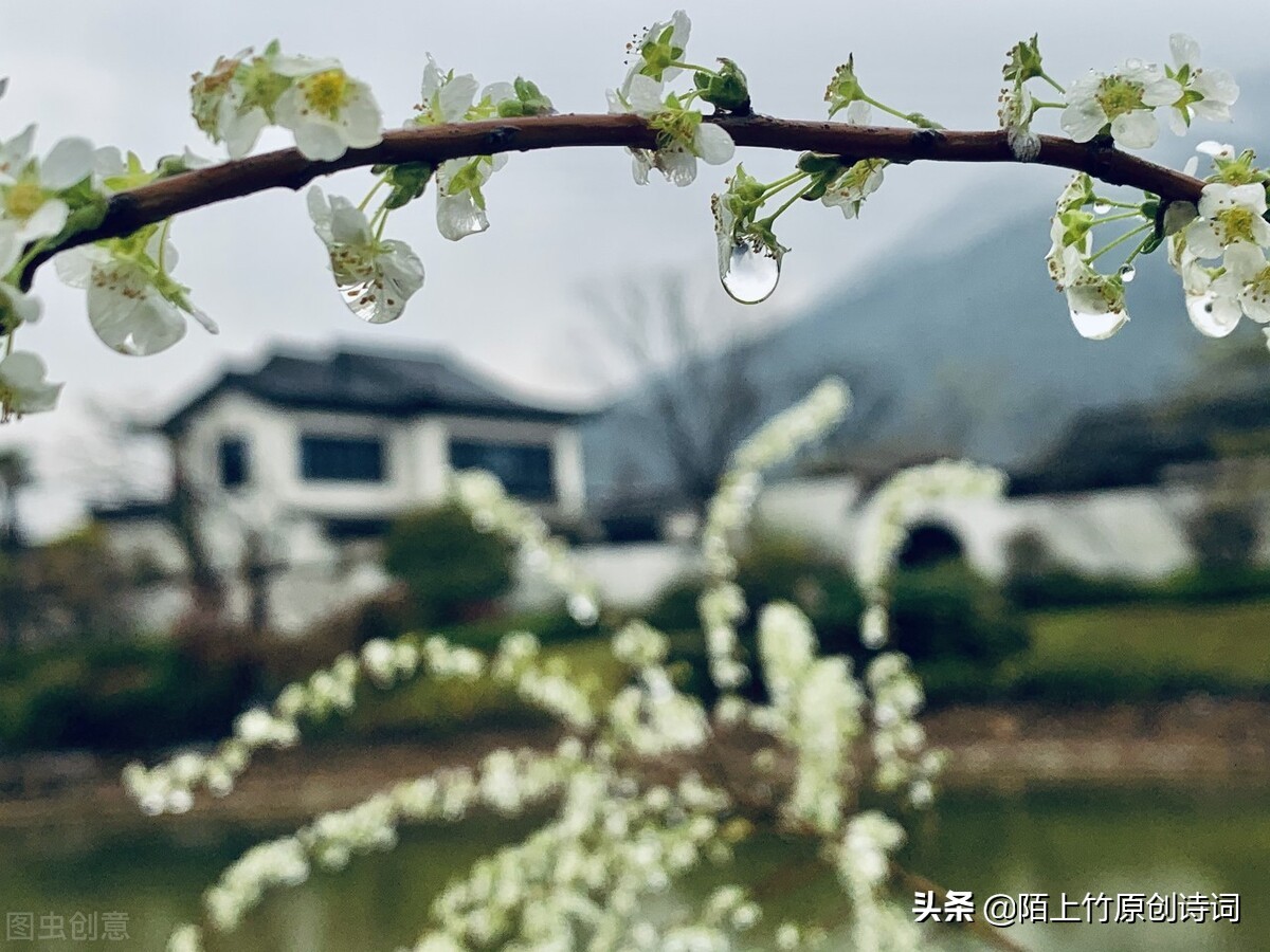 Seven-character quatrains: Spring rain - iNEWS