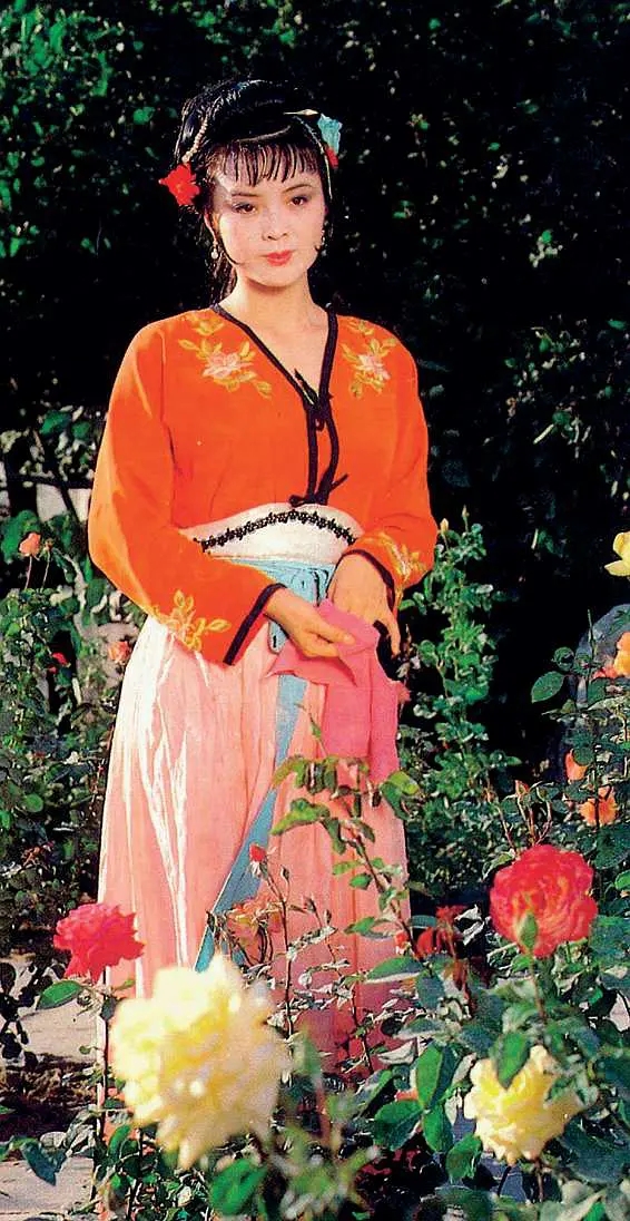 Ru skirt, Bijia, half arm, Beizi, paddy field clothes, the 87th edition ...