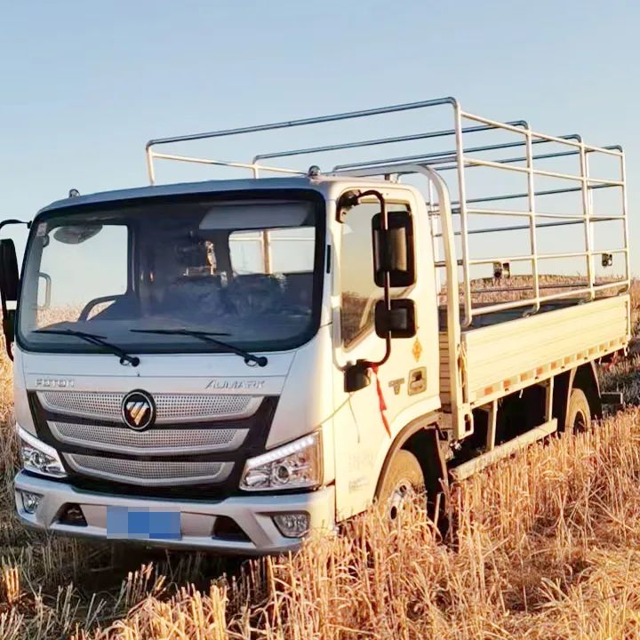 Put on the Omarco automatic transmission, gallop on the grassland, and ...
