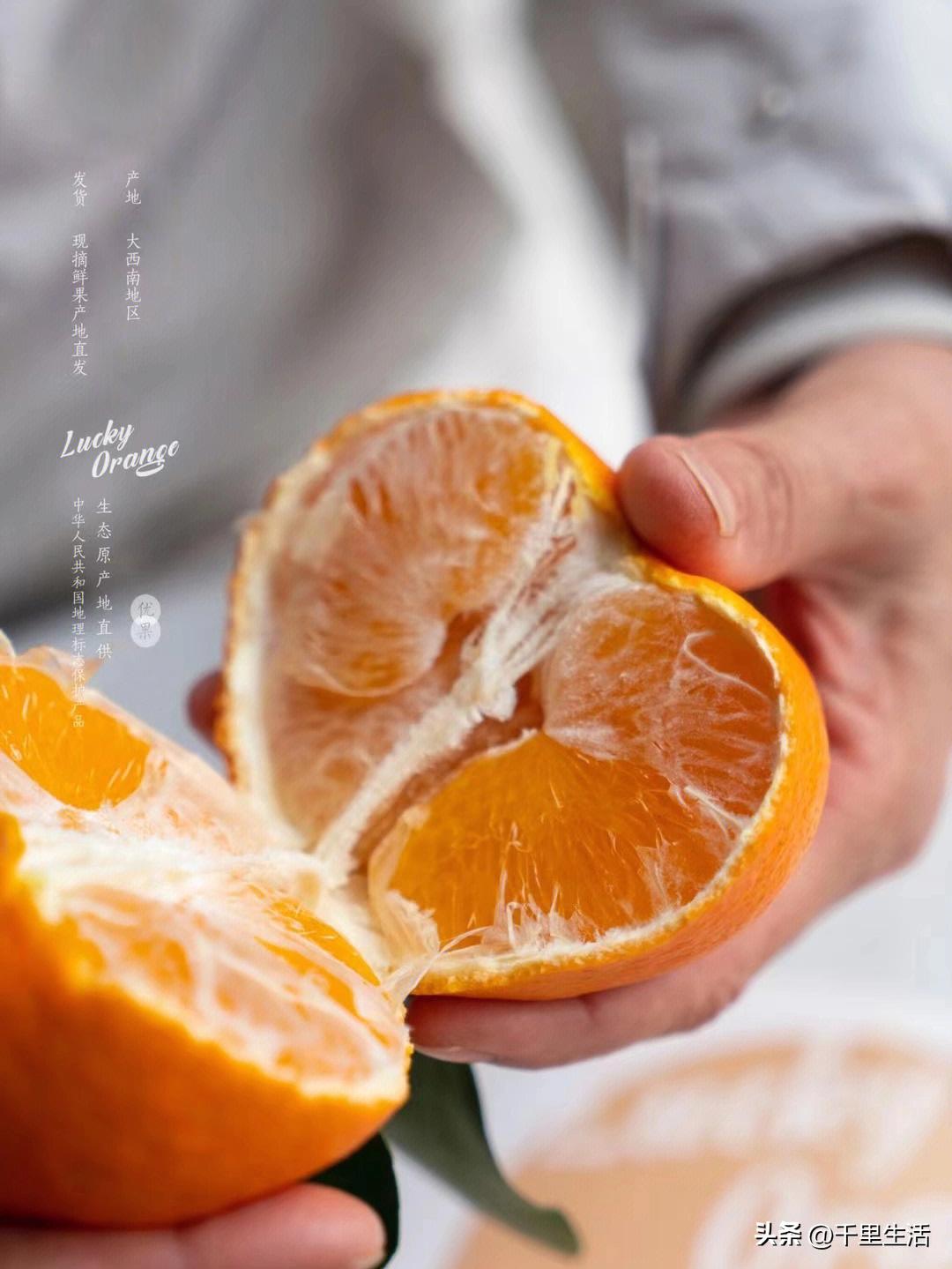 Ehime No. 38 Jelly Orange, a connotative orange queen, is simply the ...