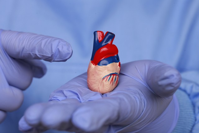 To tell you the truth, is a heart stent "curing the disease to save the ...