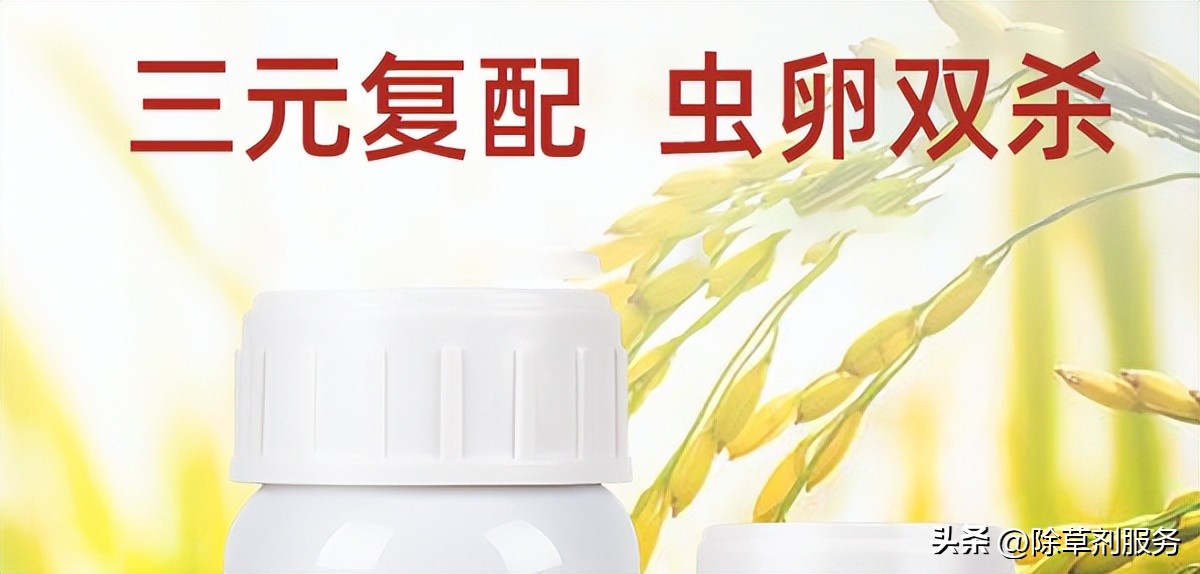 Insecticide--Lufenuron's characteristics and application method - iNEWS