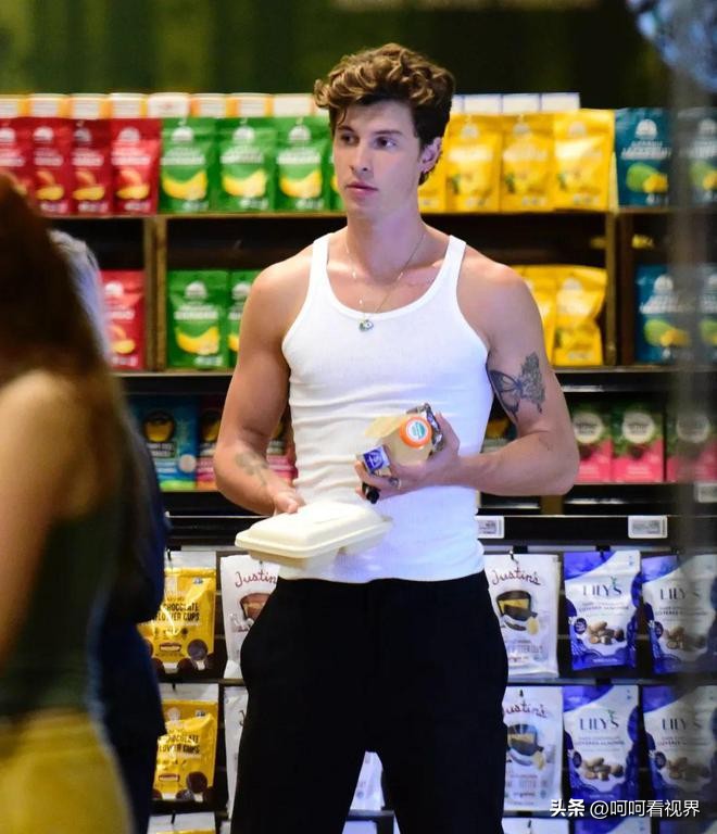 24-year-old Shawn Mendes was photographed having a late-night tryst ...