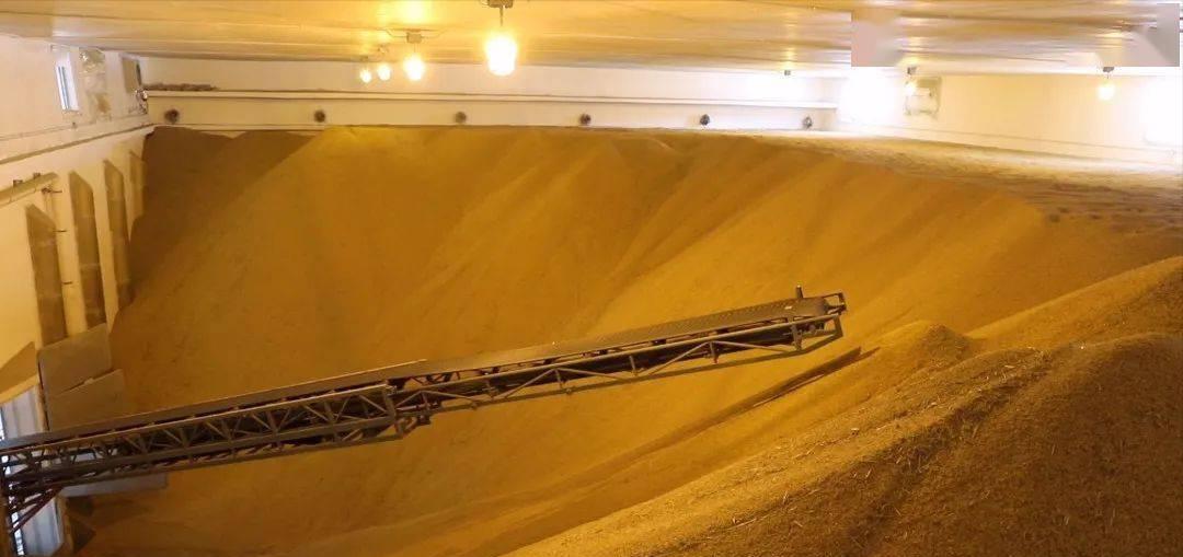 China has built the world's largest grain depot with a storage capacity ...