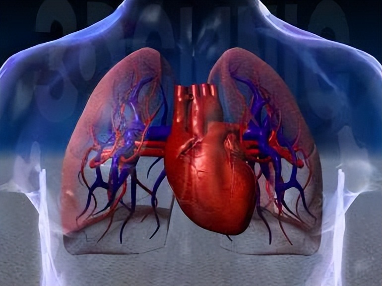 Humans have only one lung: if the lung is not good, it may be seen in 3 ...