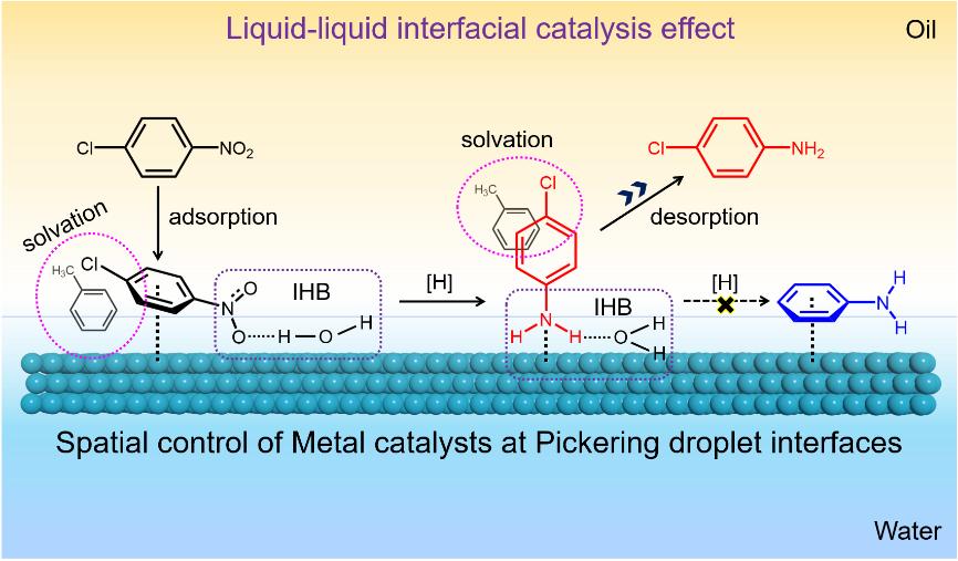 Shanxi University has made new progress in regulating the selectivity ...