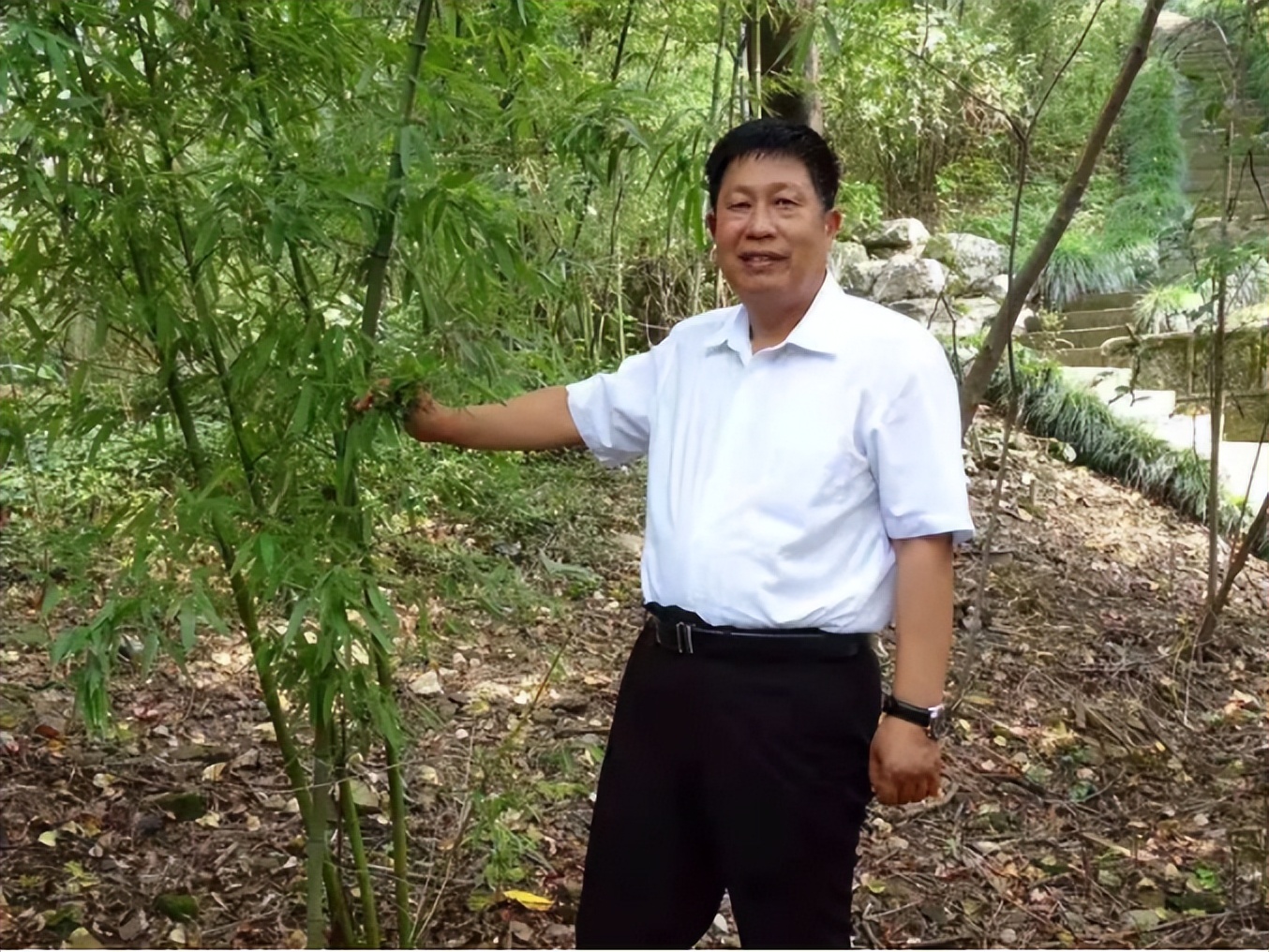 Lifu's work "Lin Dong's Love" - iNEWS