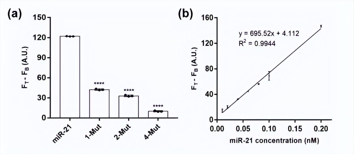 Novel DNAzyme-Enhanced Nonlinear Hybridization Chain Reaction for ...