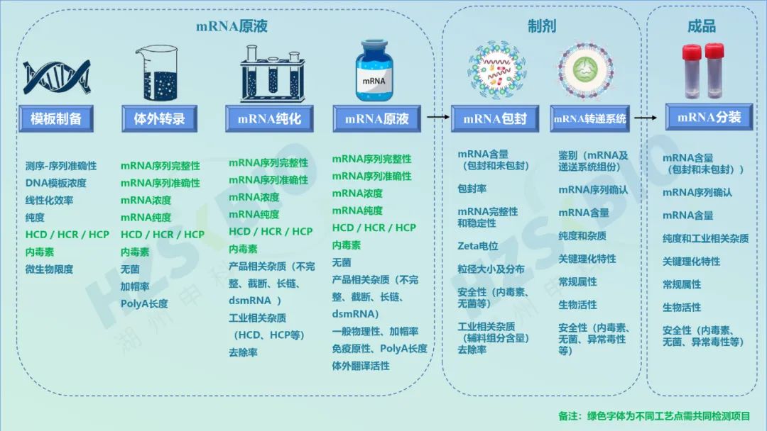 The whole process of mRNA vaccine quality risk analysis and coping ...