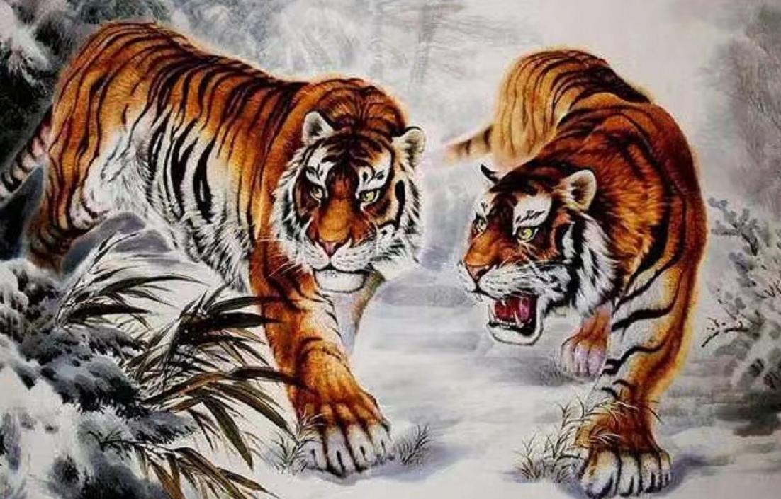 Chinese Zodiac - Rat and Tiger - iNEWS