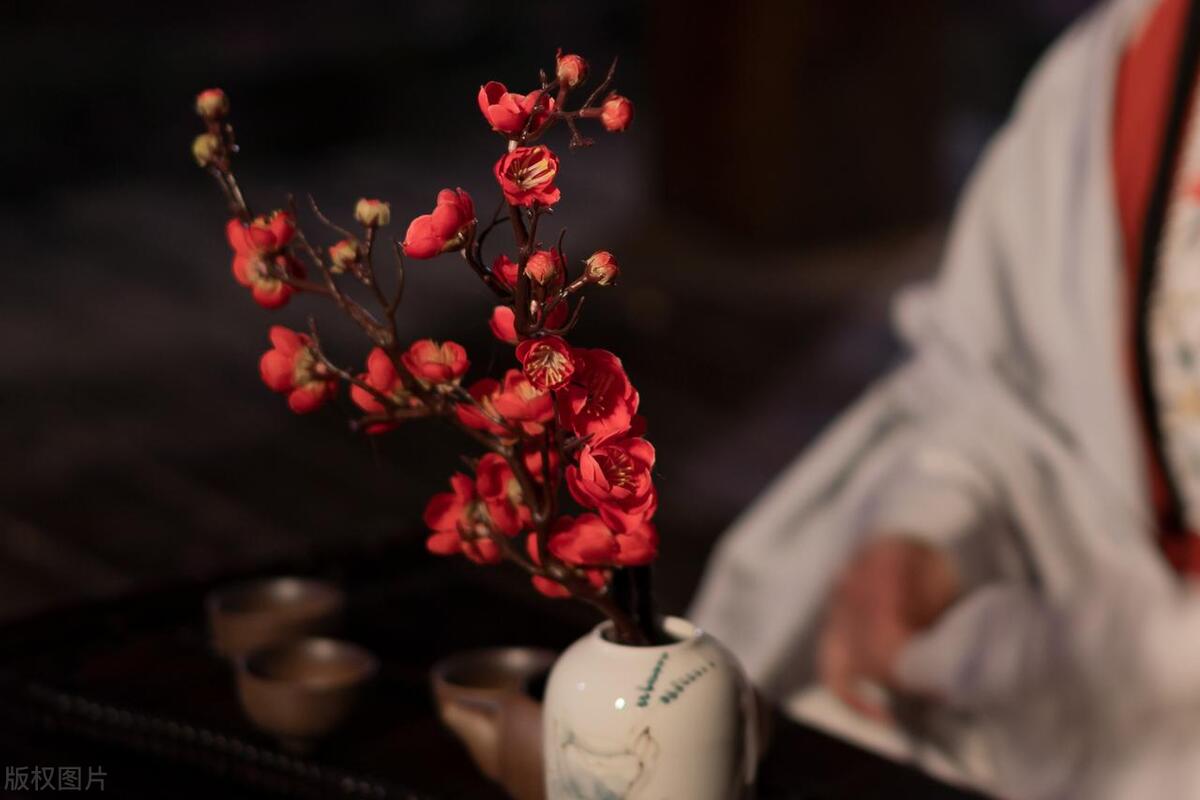 Beauty Trick in Dream of Red Mansions: The Seduction and Scheme of Wang ...