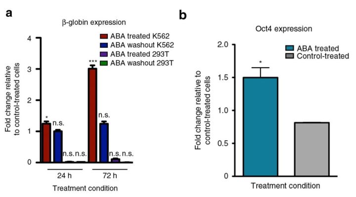 Talk about the "variable" application of CRISPR/dCas9 system (2) - iNEWS