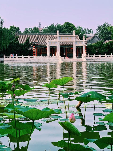 He Tiantian, fragrant slowly - iNEWS