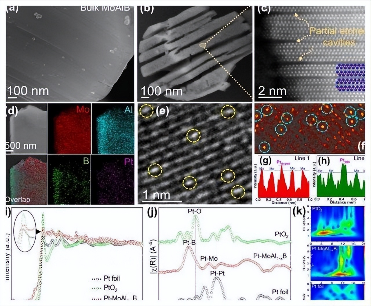 Single atom adapts to everything, this time it is MBene ...