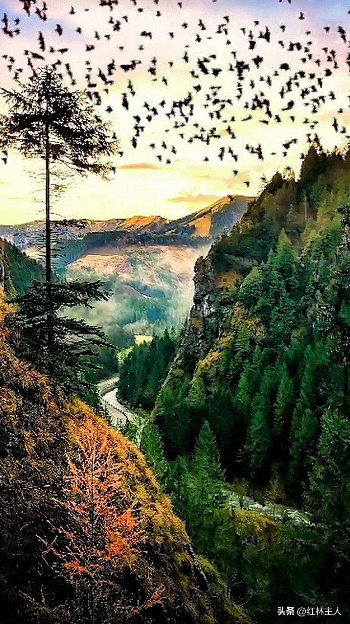 Honglin Wudao "Han Feizi - Jie Lao" Chapter 78 Virtue Gui - iNEWS