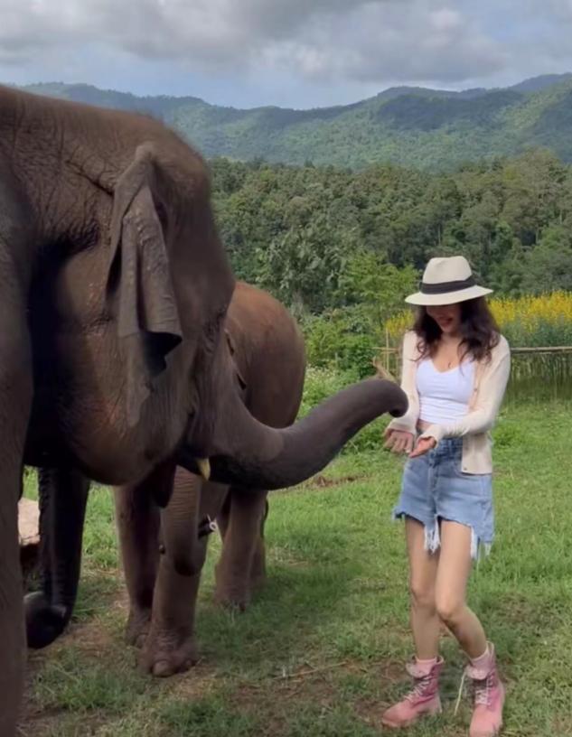 The 49-year-old famous actor settled in Thailand, lived alone in a ...