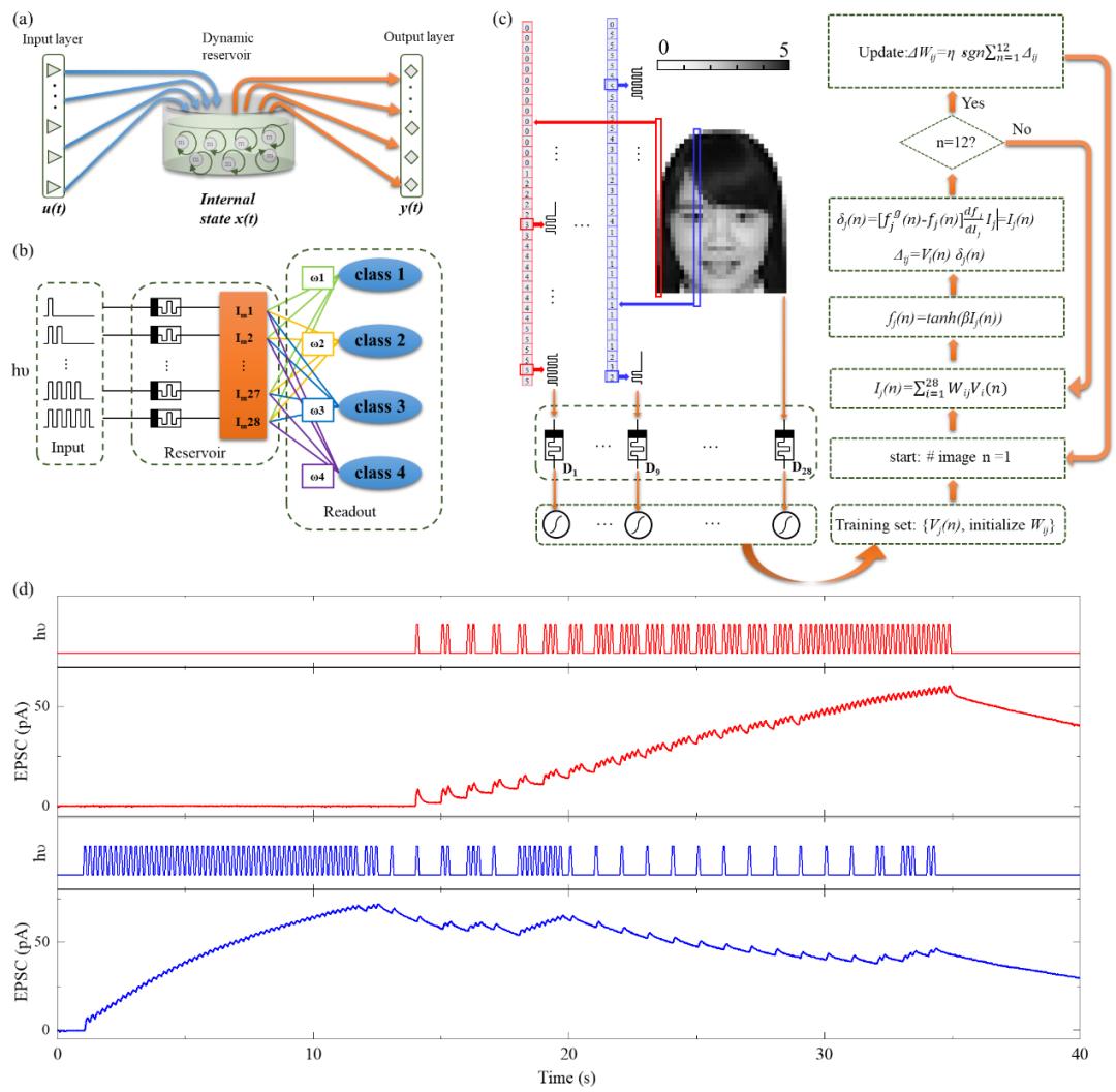 Advanced Science: Machine Vision for Self-Powered Sensing Internal ...