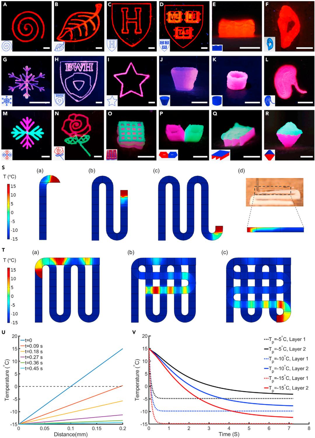 Antifreeze hydrogel makes new achievements to realize frozen ...