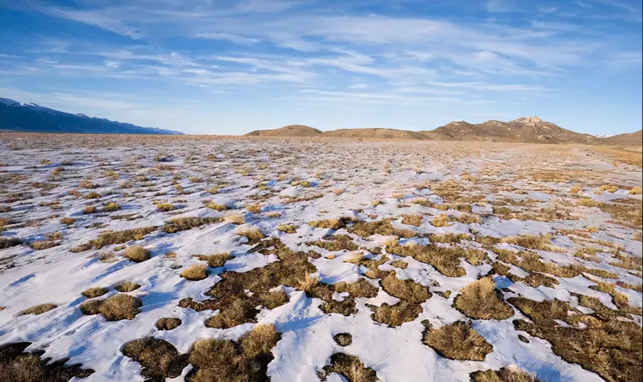 The permafrost thaws, the remains of a hungry lion cub appear, still ...