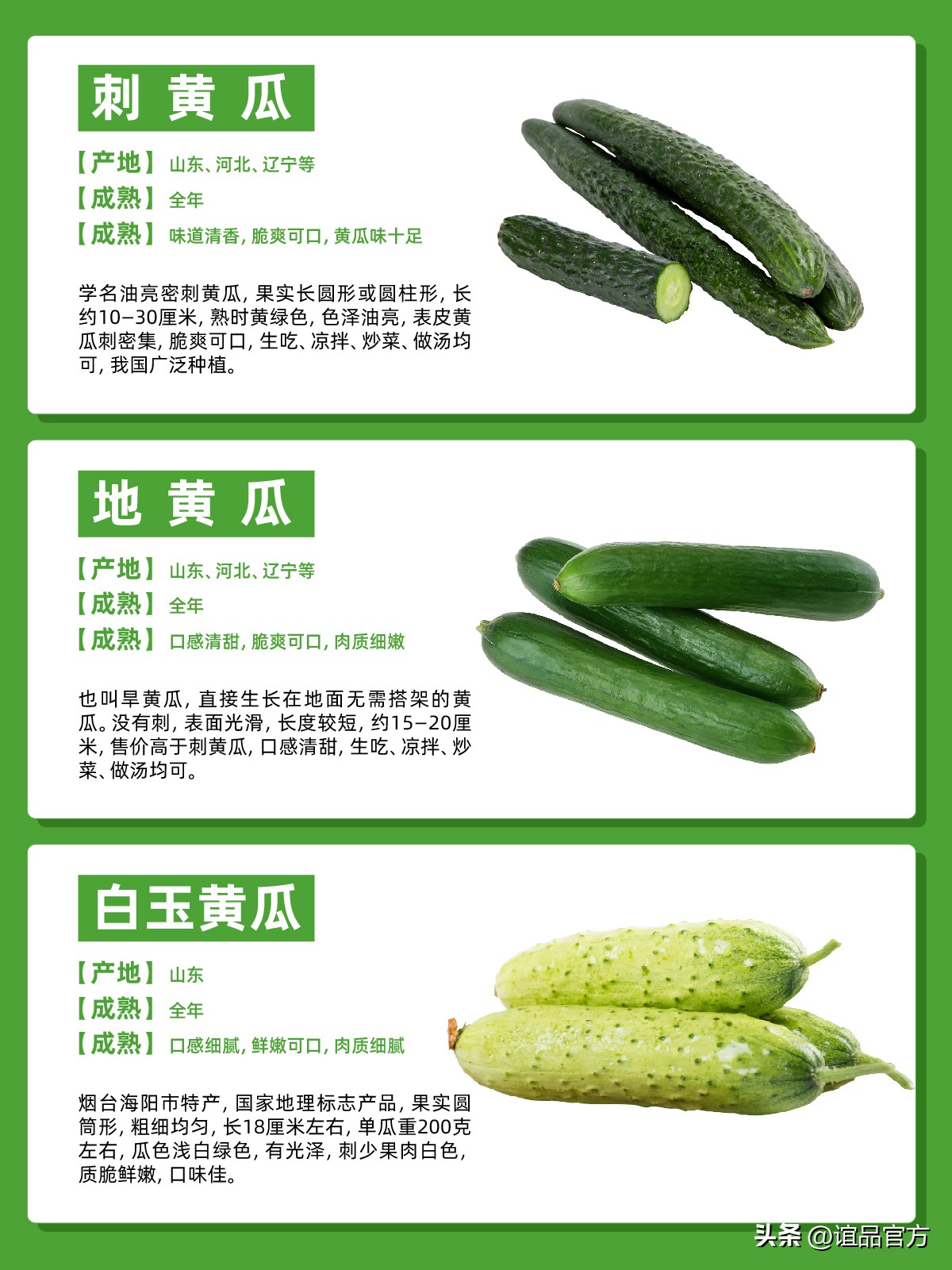 Varieties and Tastes of Common Cucumbers - iMedia
