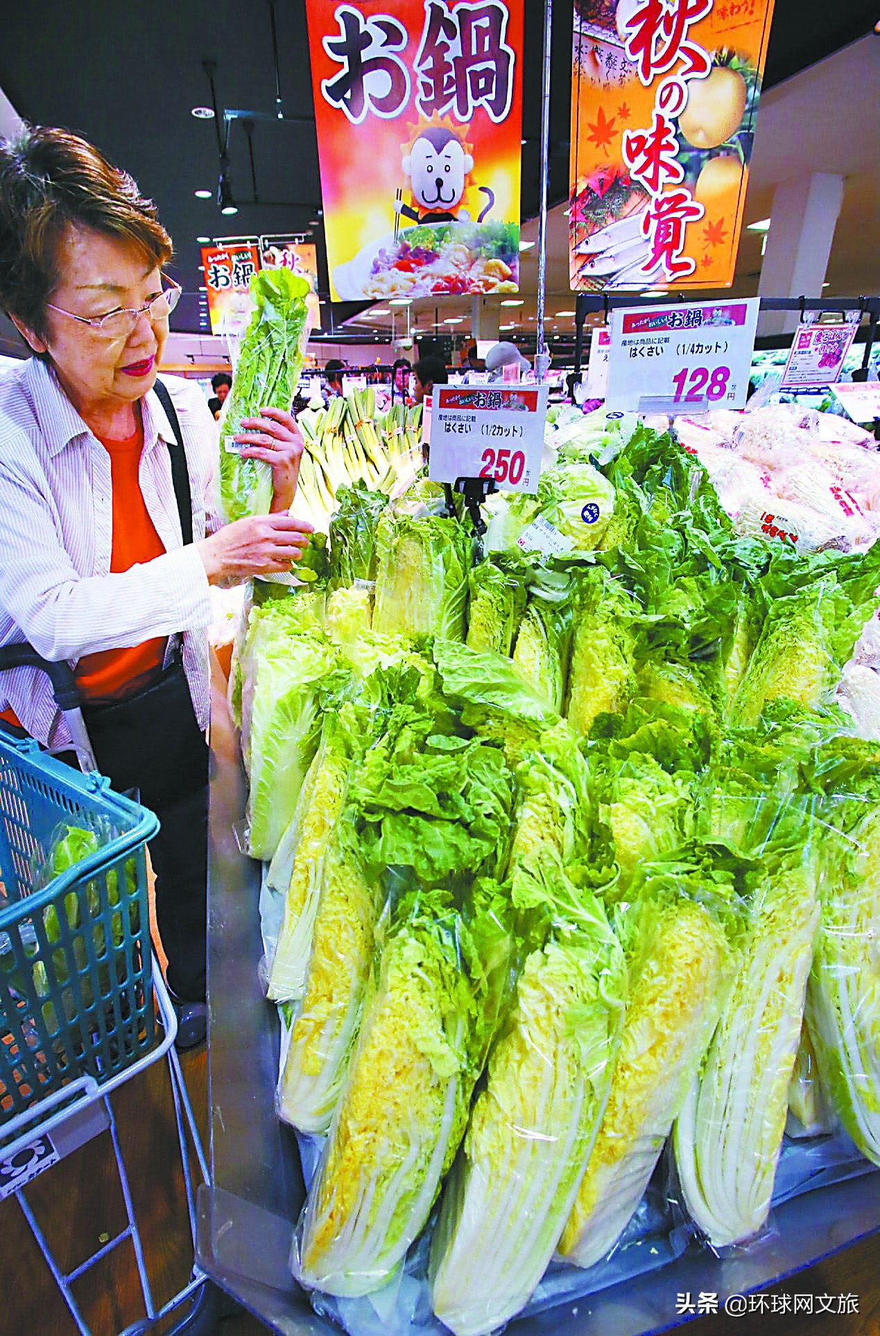 Japanese writers love to write cabbage - iNEWS