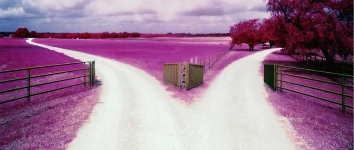 The two paths are related to the future of the child, and the decision ...