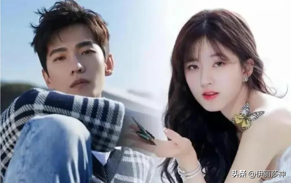 Yang Yang's next girlfriend, Liu Yifei refused, Di Lieba missed it, and ...