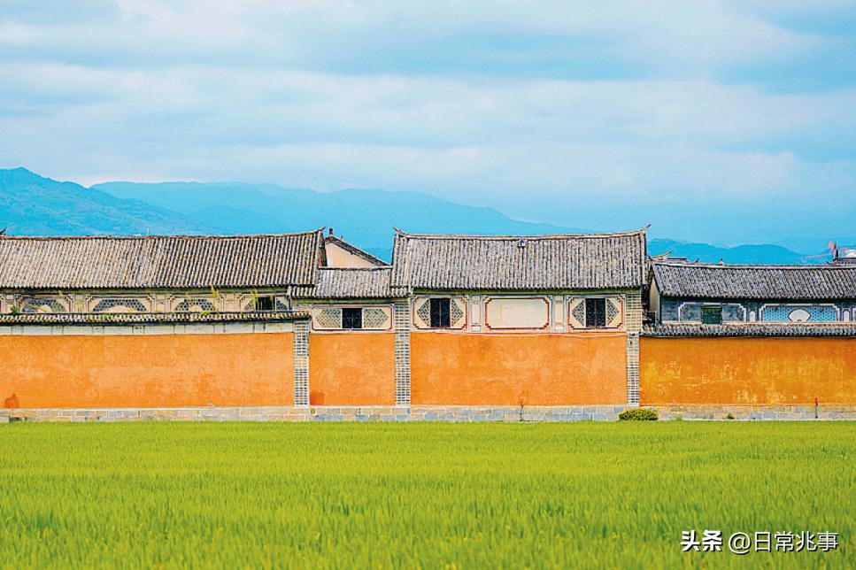 The vitality of spring, in the Yunnan market - iMedia