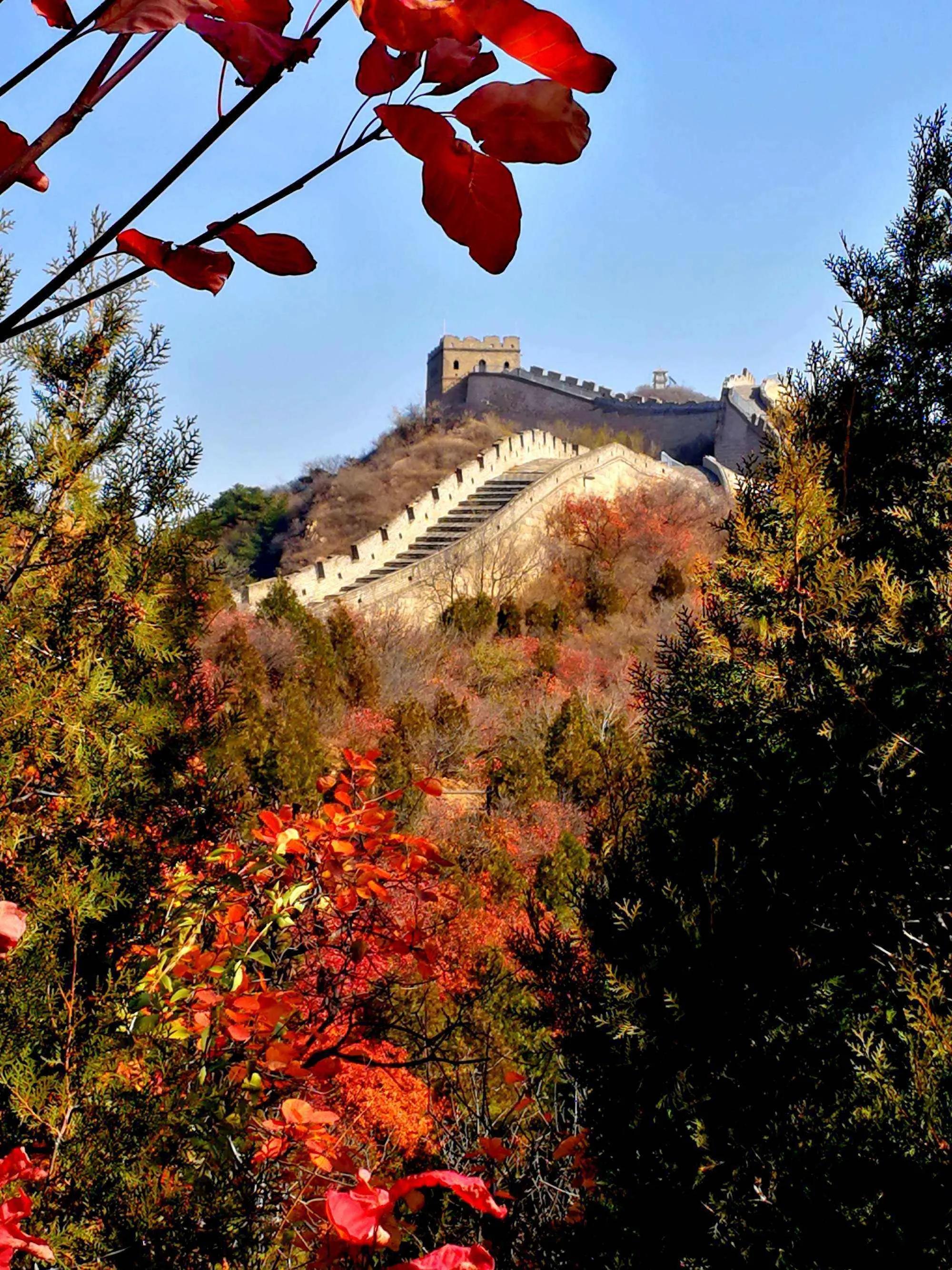 Autumn in Beijing, beautiful - iNEWS