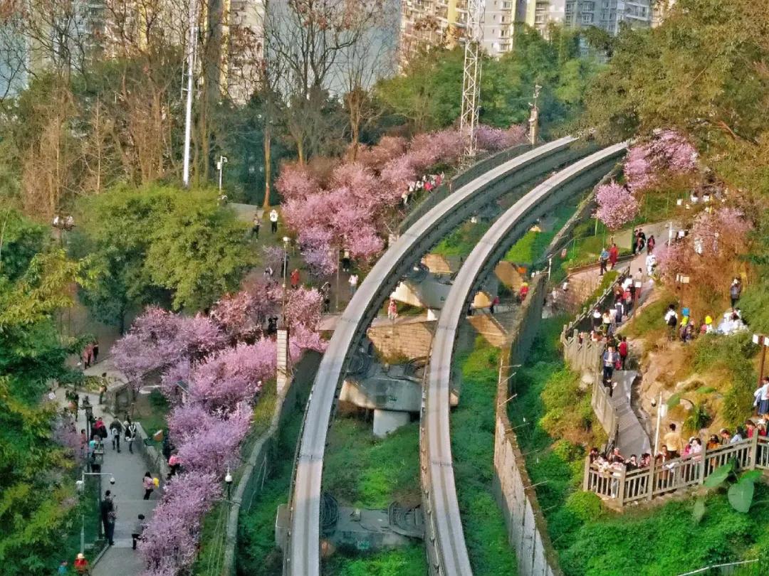 Chongqing not only has the "train to spring", but also the beautiful ...