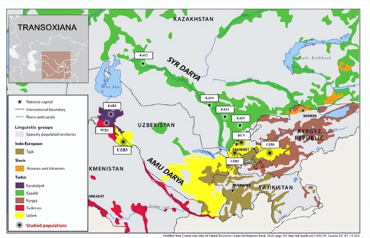 The data of the paper shows that the large cluster of Naiman O2-Y22279 ...