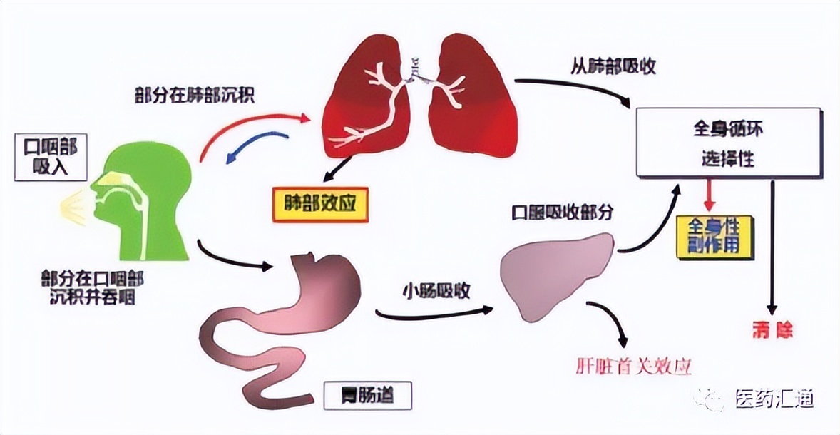 collect! Inhaled glucocorticoids for asthma, you must know these 3 ...