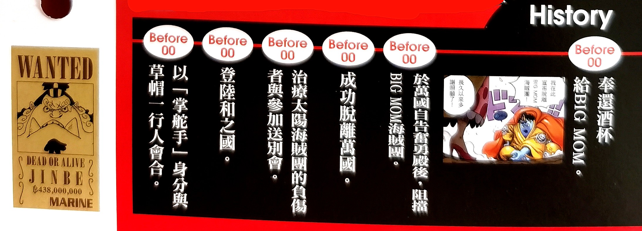 One Piece Life Card: The official announcement of the ninth person of ...