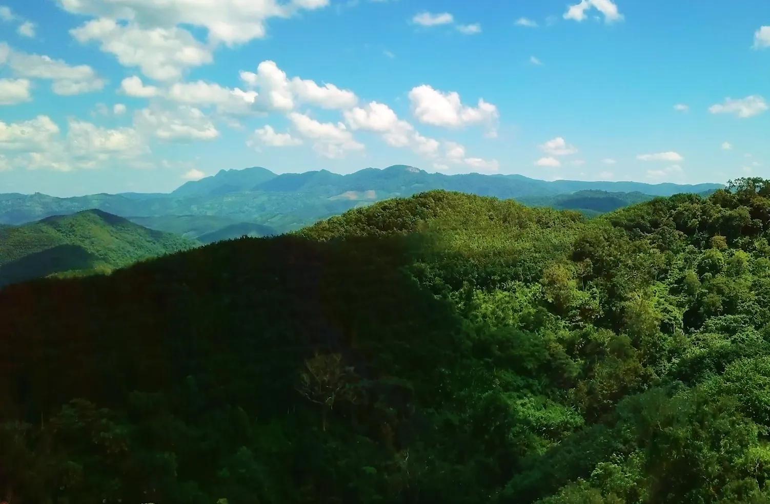 Xishuangbanna Tropical Rainforest Documentary "Children of Rainforest ...