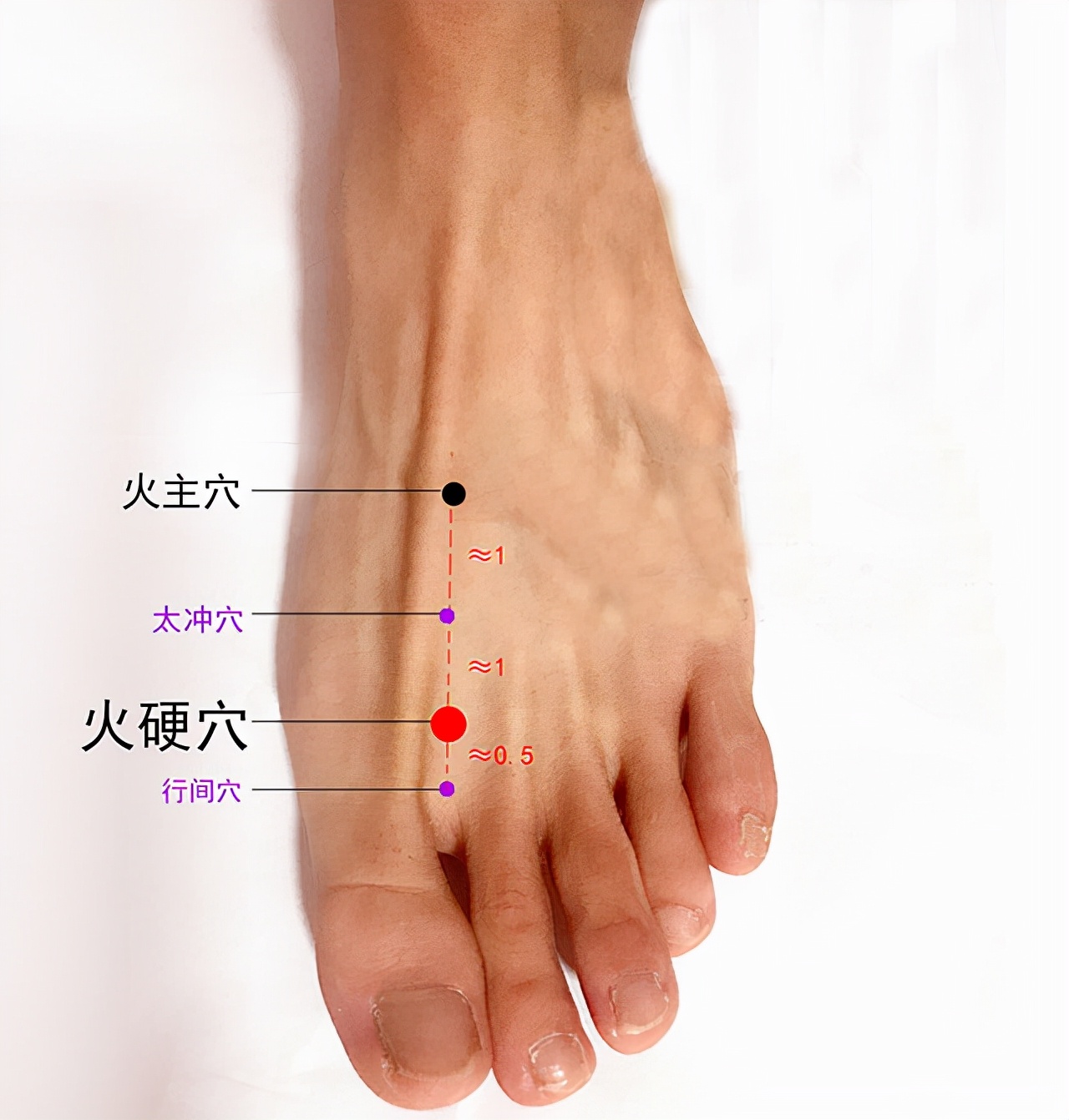 TCM acupuncture circulatory system prescription 2 - iNEWS