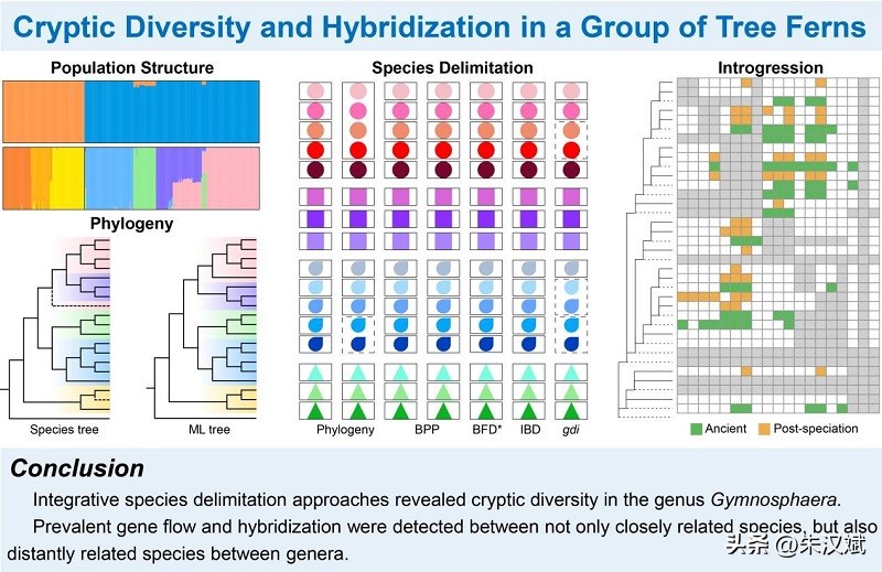 New progress has been made in the research on the diversity and ...