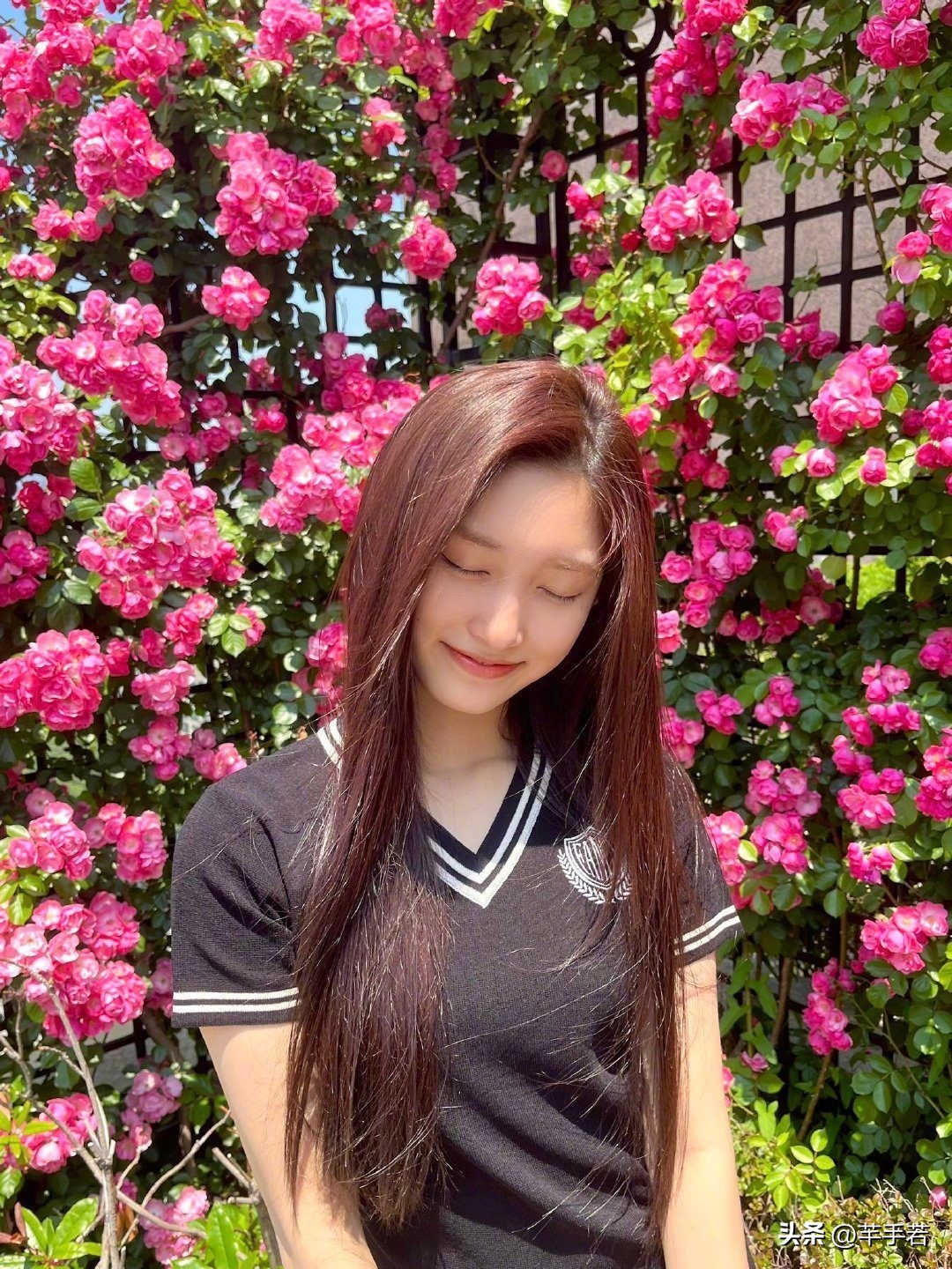 Hallyu TV shows the IVE sound source curve, the stamina exceeds IU, and there is no normal sound ...