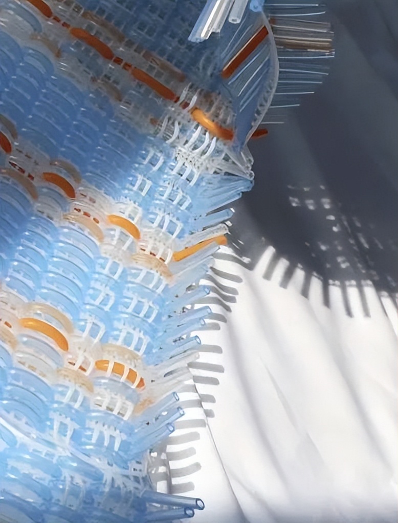 In the eyes of designers, how many outrageous things can be used for ...