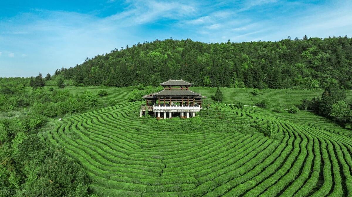 There are 3 must-see attractions in Zunyi, including world-class ...