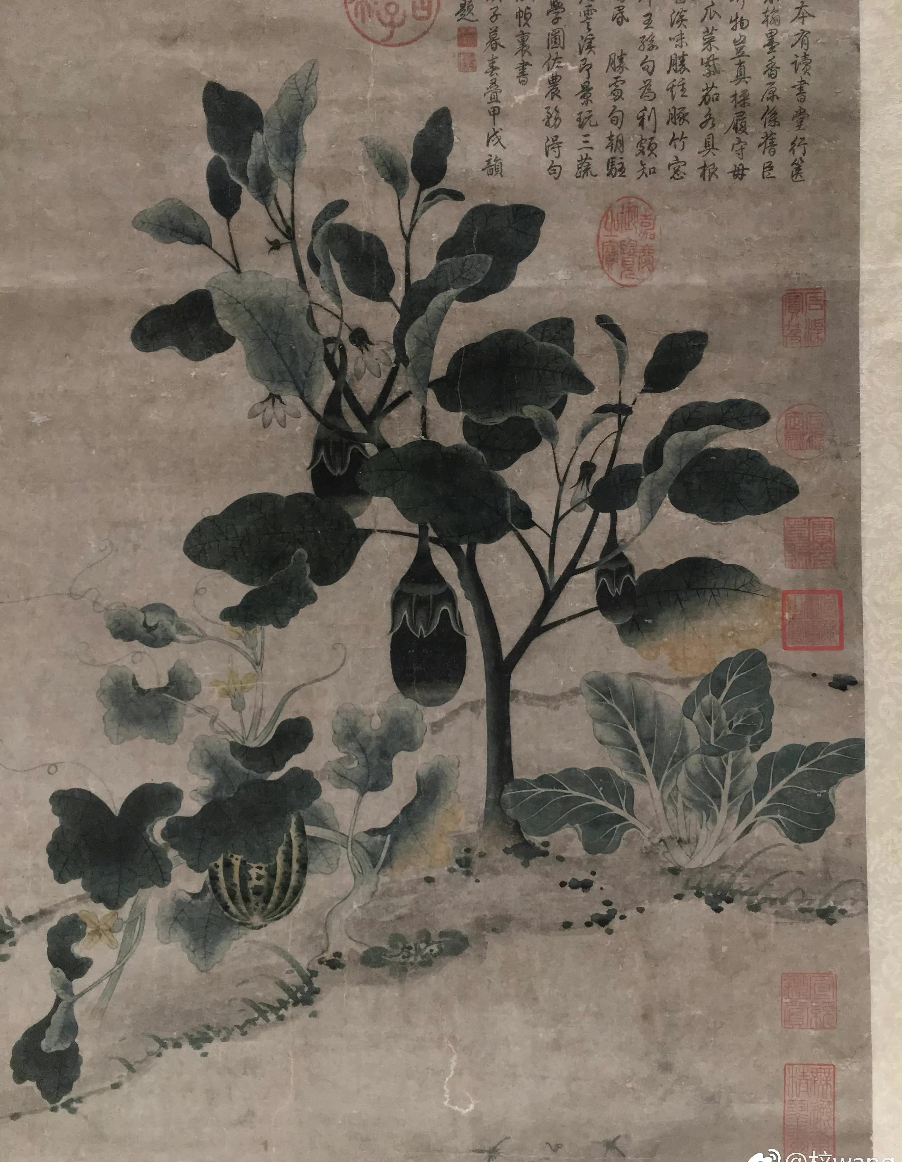 Qian Xuan's paintings - iMedia