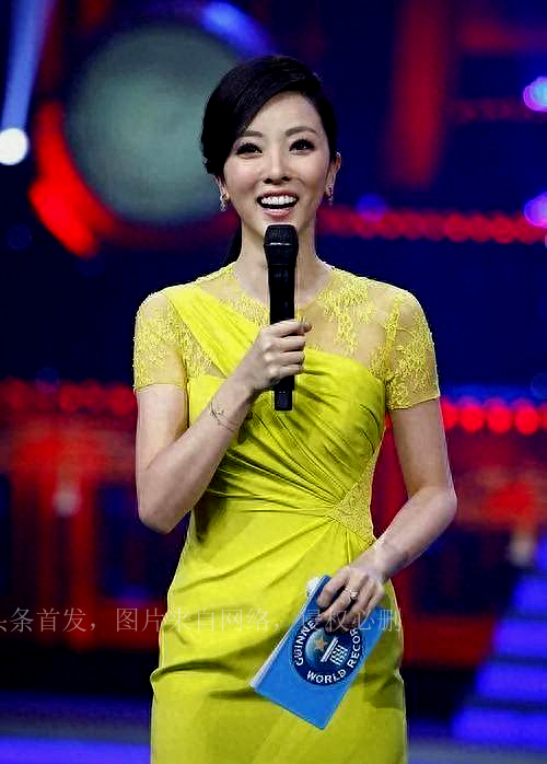 Who is likely to become the face of CCTV variety shows? Long Yang, Lan ...