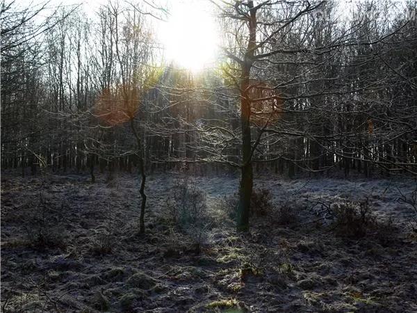 In a place known as Devil's Land, how scary is Namibia's Skeleton Coast ...