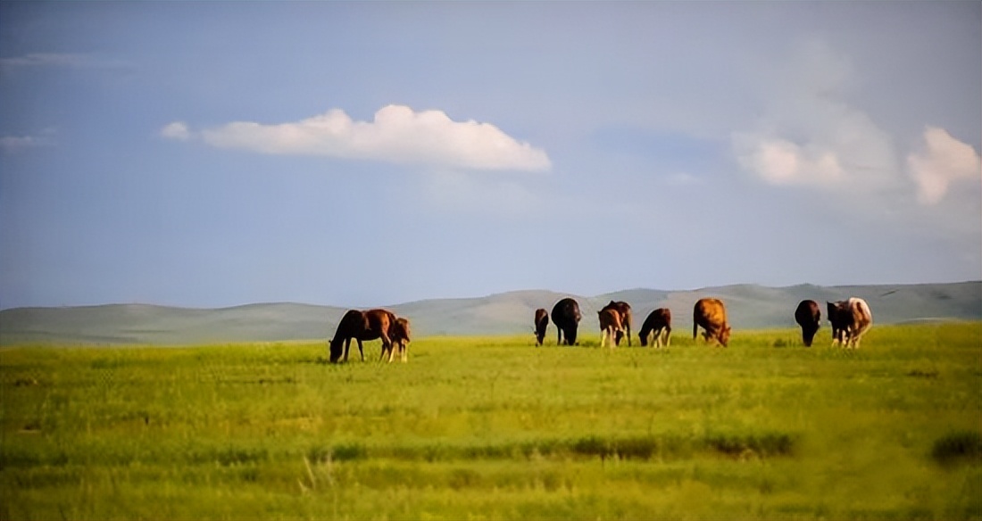 The Eurasian Steppe Channel for the Exchange of Early Chinese and ...