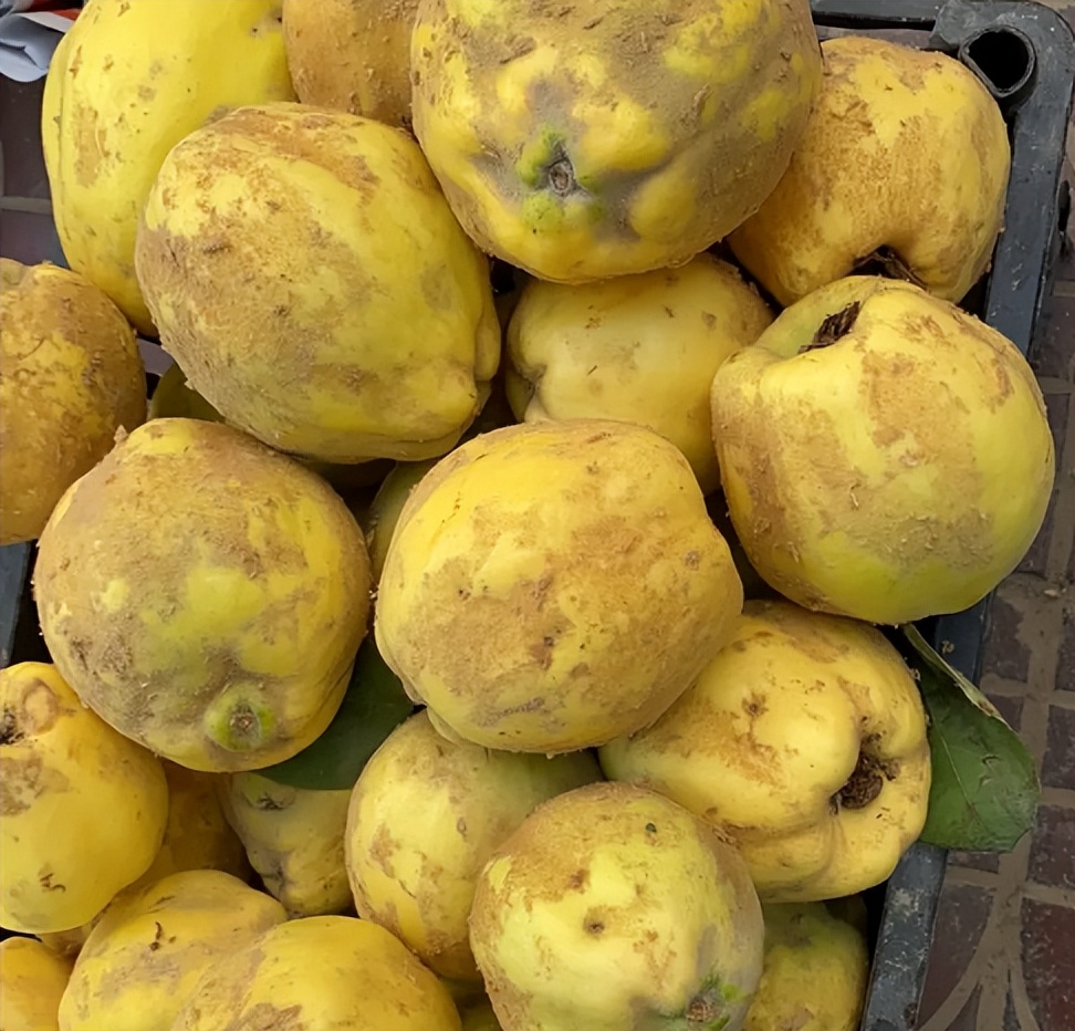Commonly known as "wood pear", an ancient fruit that looks like a pear ...