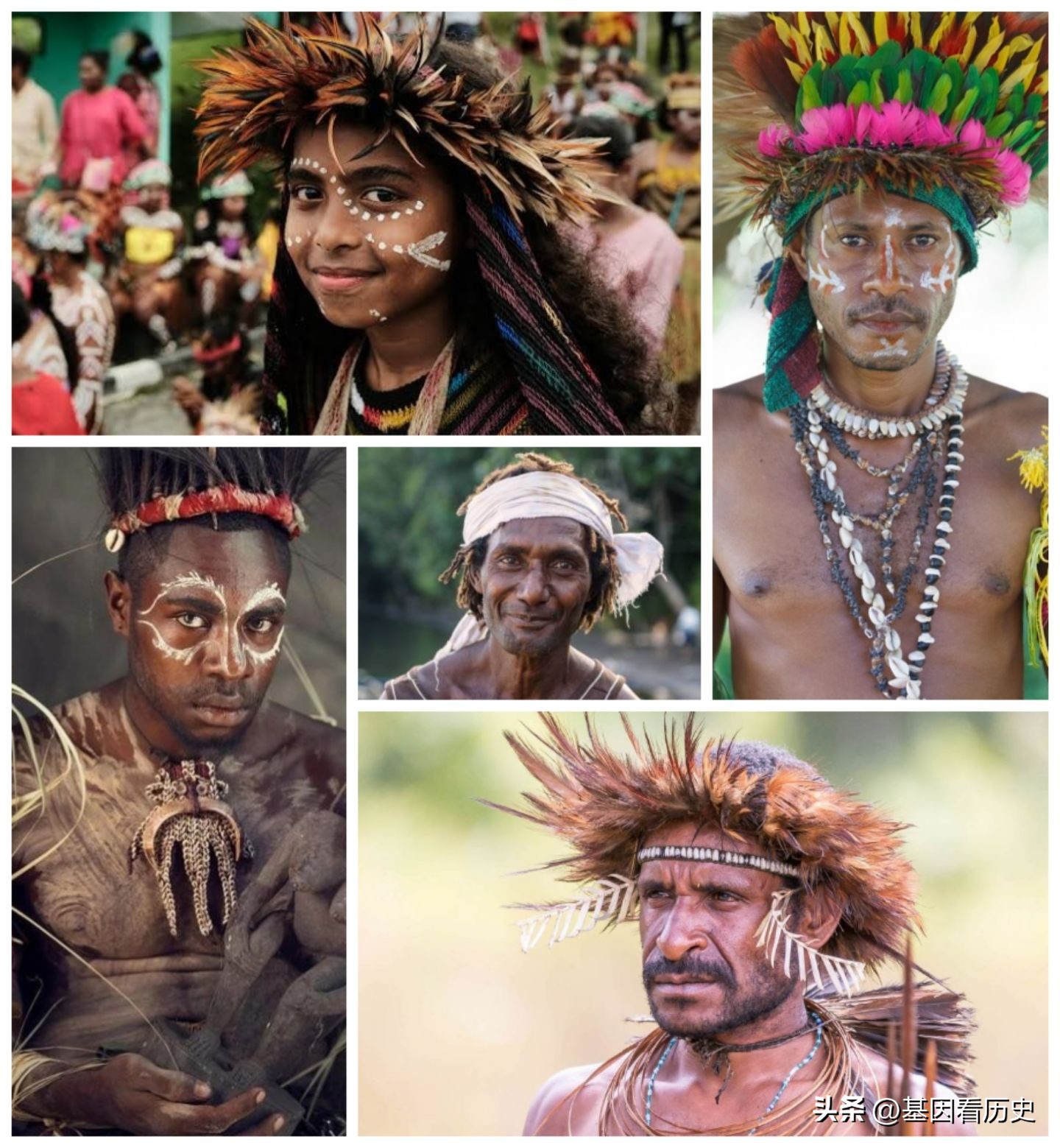Are the Papuans in Indonesia classified as black people according to ...