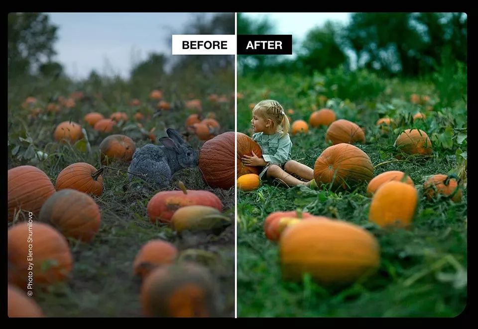 Artificial intelligence AI image processing optimization software ...